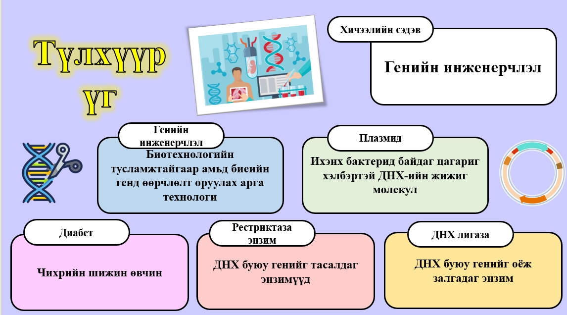 Мэдлээ Цахим контент
